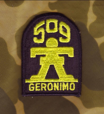 509TH HELMET PATCH (COLOR) PX