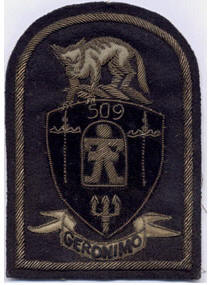 Unofficial 509th Regimental Crest incorporated into a patch. Very ...